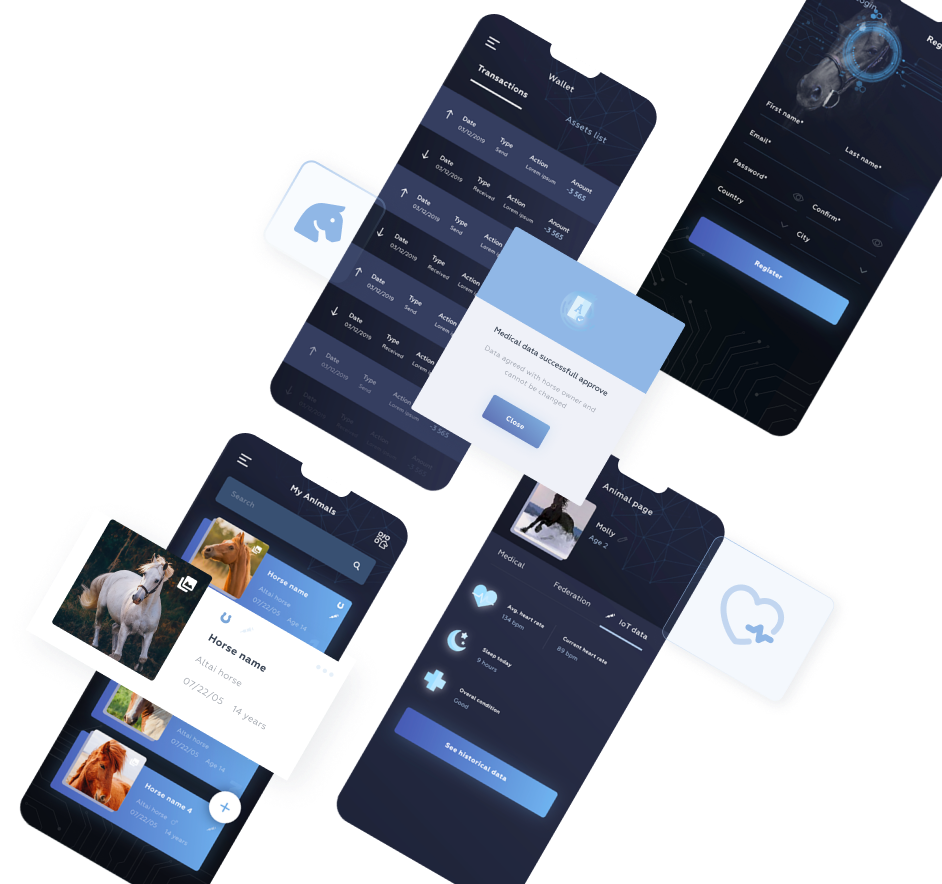 Custom Software Development Company | Requestum